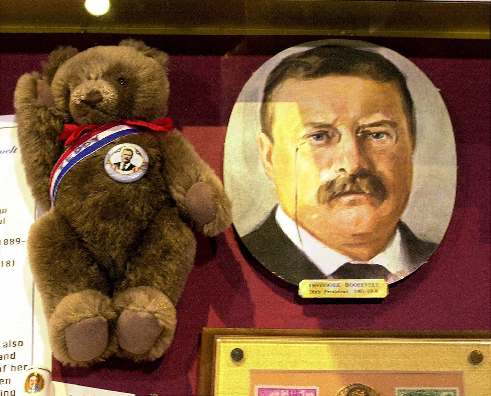 Did you know the teddy bear was named after a US president?