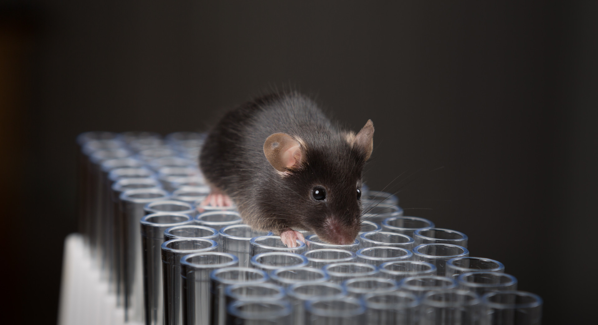 The dark reality of sunlight deprivation