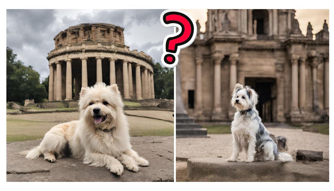 10 Dog Breeds RARELY Seen Outside Their Native Countries