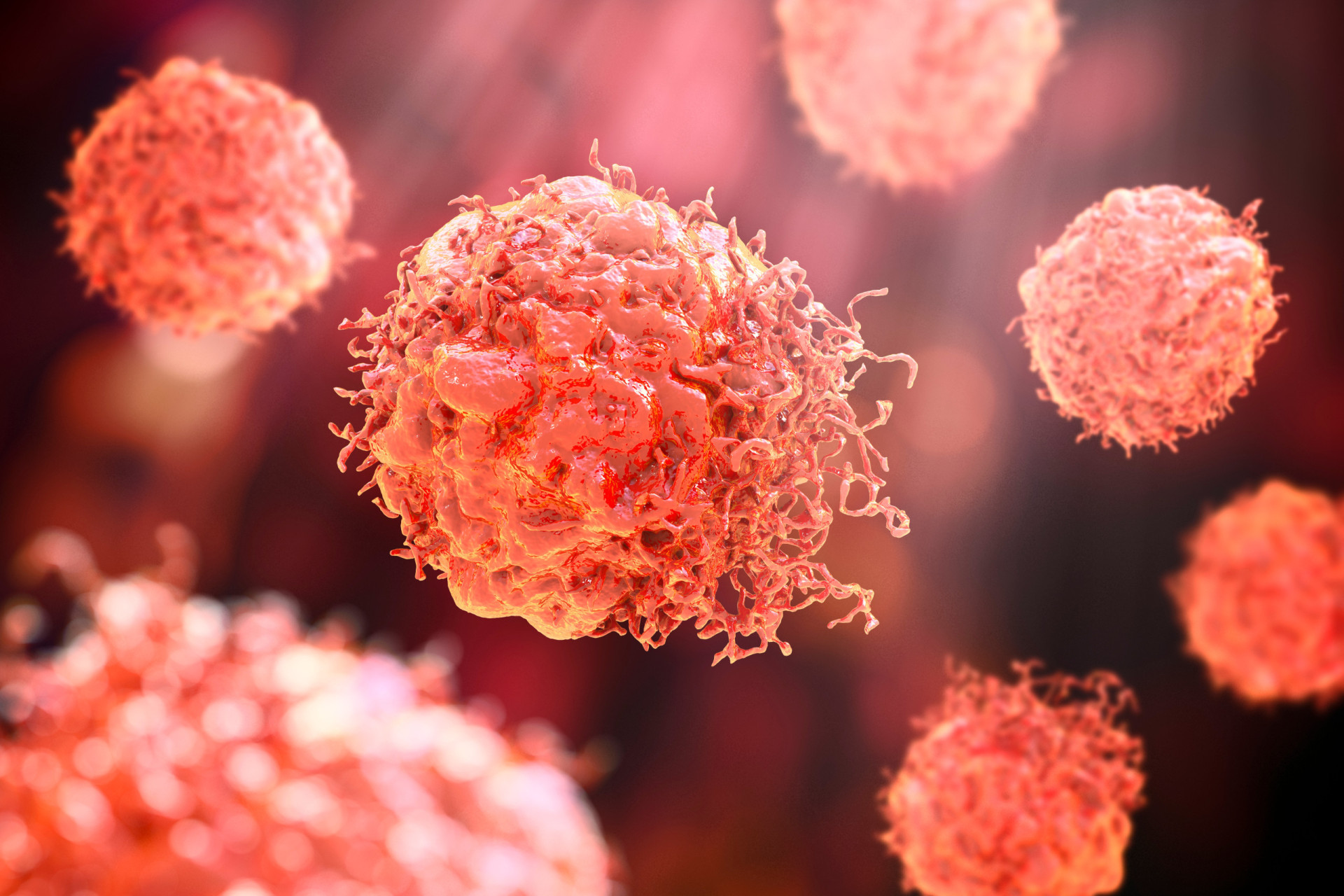 What exactly is cancer preventative chemotherapy?