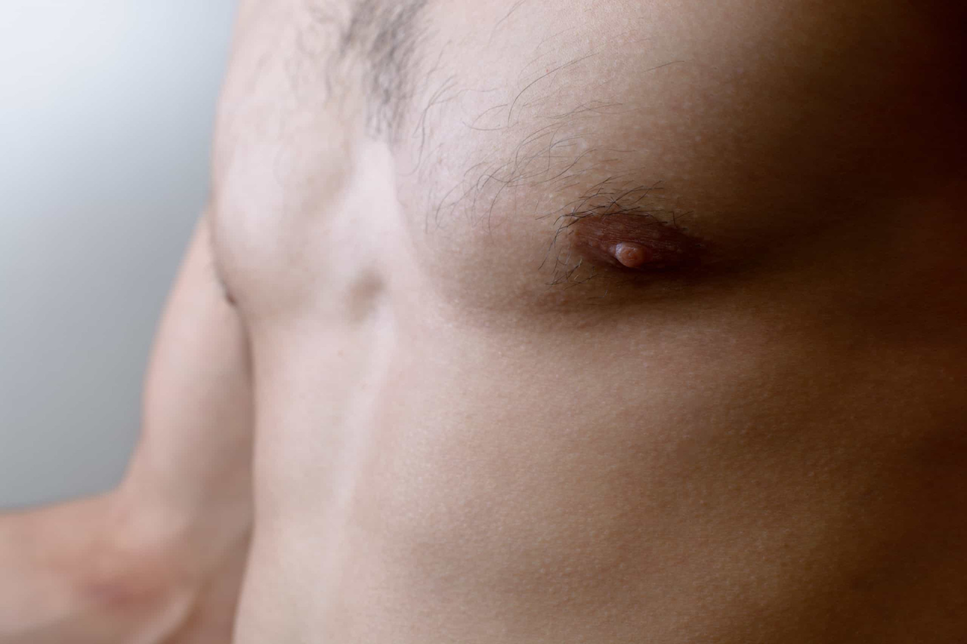 Ces vestiges d'évolution sont visibles sur votre corps