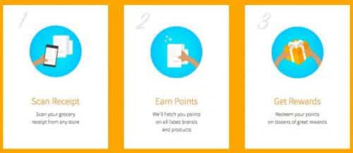 Fetch Rewards App: Earn Rewards From Grocery Purchases