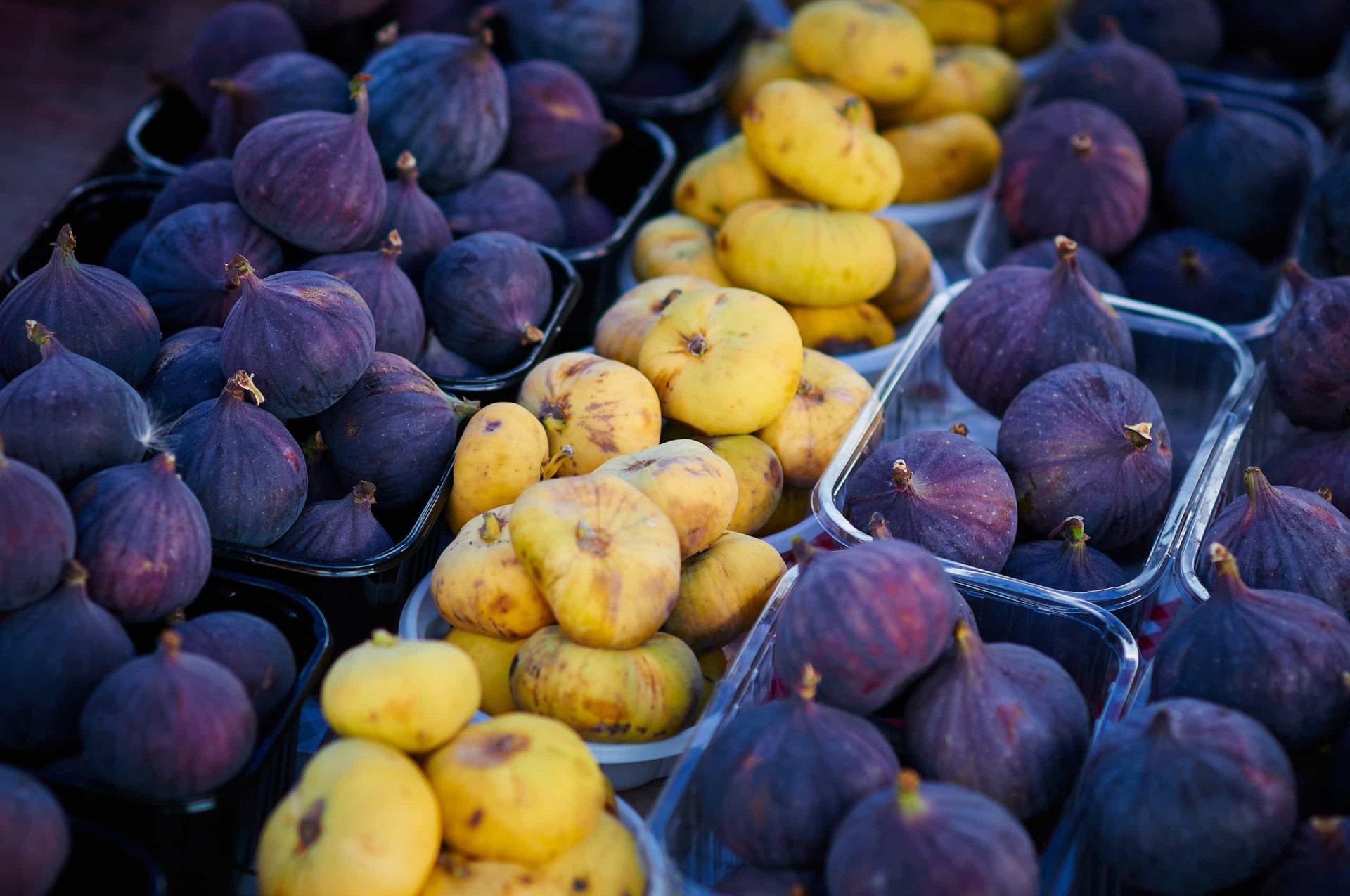 Fascinatingly fun facts about figs