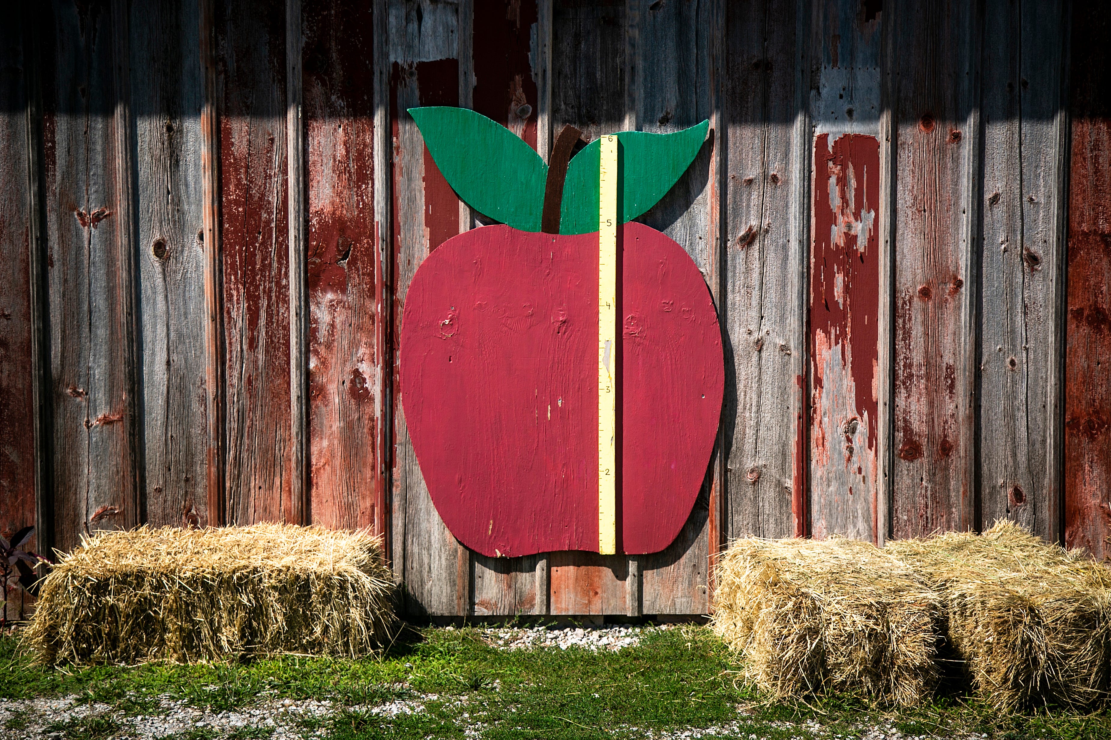 Wilson's Orchard & Farm in Cumming offers free admission. When does the ...