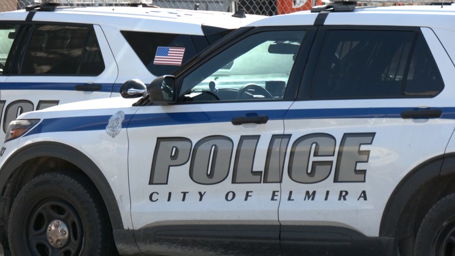Elmira Police Department addresses dog death in animal control custody