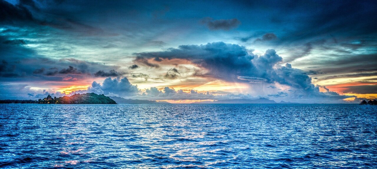 Inside a virtual ocean platform that could help with marine protection