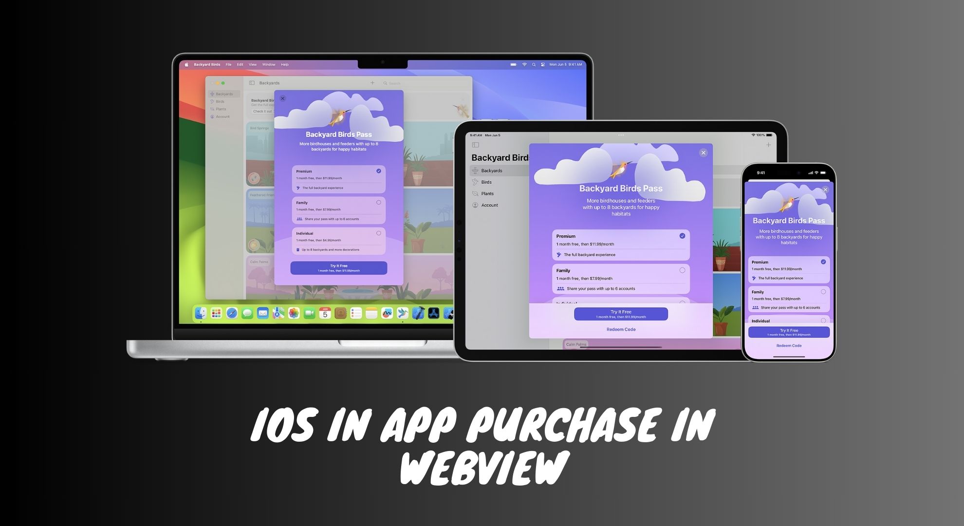 How to Implement iOS In-App Purchase in WebView