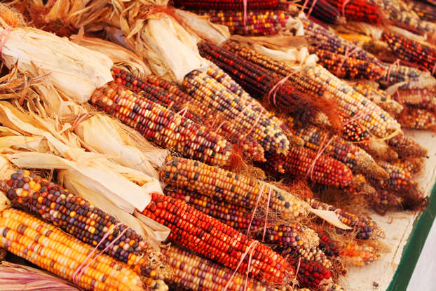 20 foods & drinks from important historical events in U.S. history 20 foods & drinks from important historical events in U.S. history