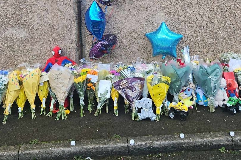 Fundraiser launched to give 'loved' boy, 4, the 'most beautiful send ...