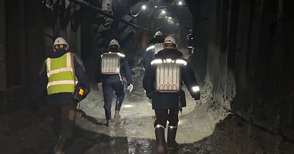 Scientists Discover Life Thriving Deep Below Earth's Surface