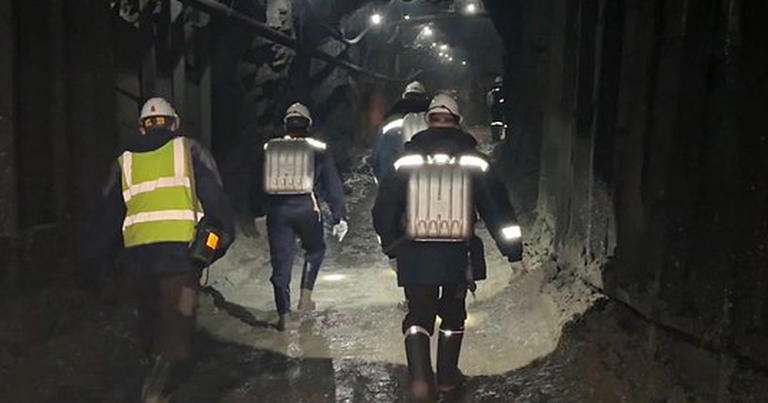 Scientists Discover Life Thriving Deep Below Earth's Surface