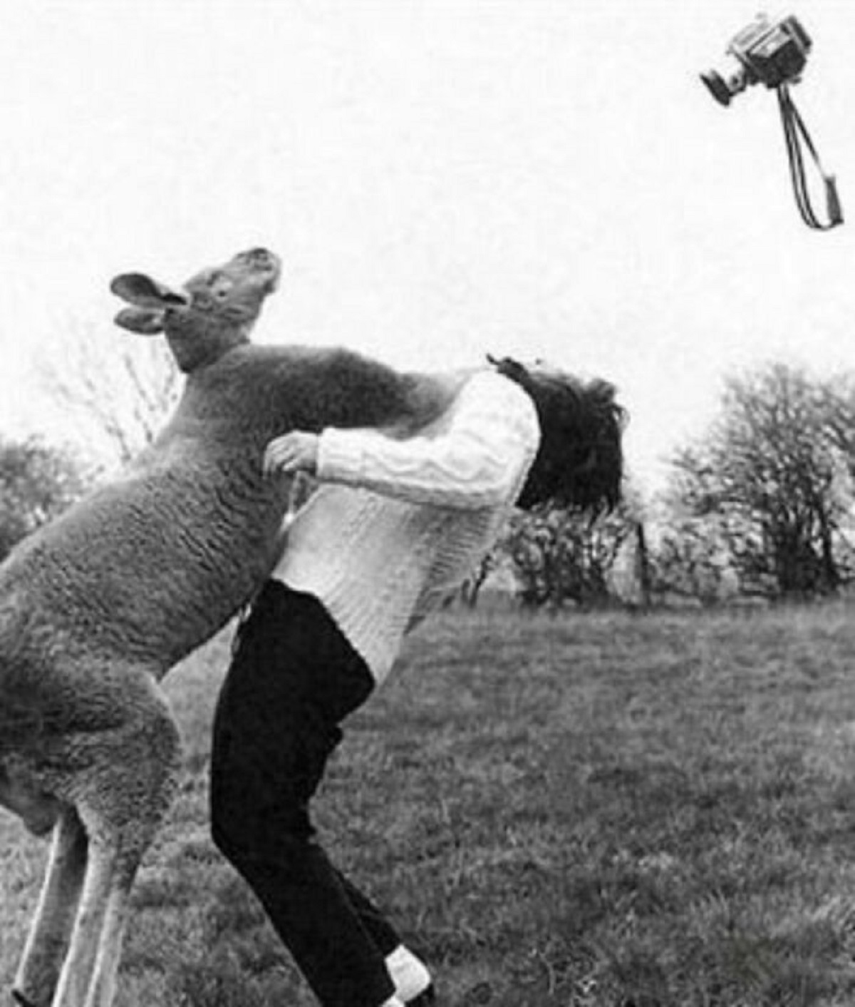 32 Classic Photos For a Quick Tour Through History
