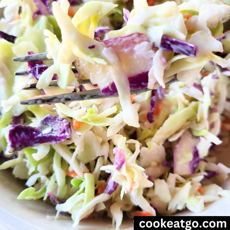 Easy 4 Ingredient Coleslaw With No Mayo Homemade Dressing!