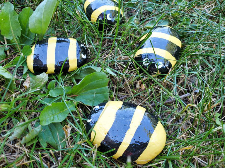 Painted Bumble Bee Rocks