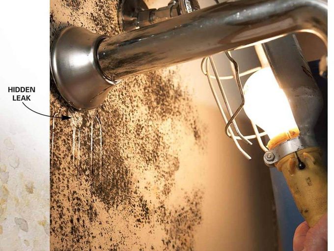 10 Tips For Removing Mold and Mildew