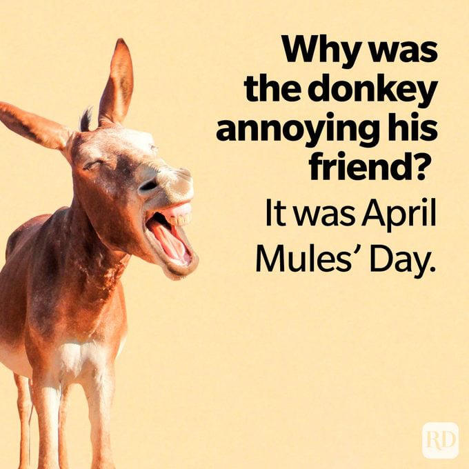 34 April Fools’ jokes to make everyone laugh
