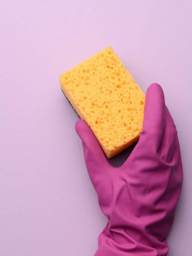 Easy Tips to Disinfect Your Sponges Effectively