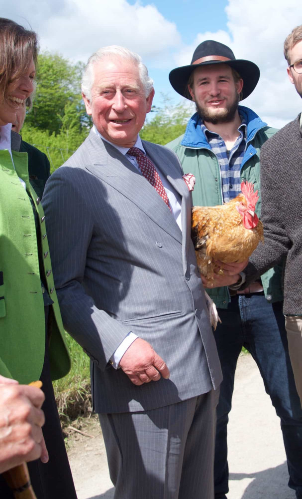 The essential Creedence Clearwater Revival playlist