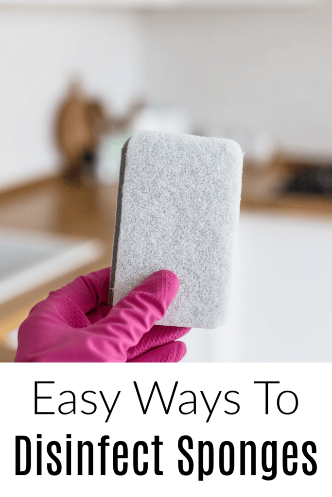 Easy Tips to Disinfect Your Sponges Effectively