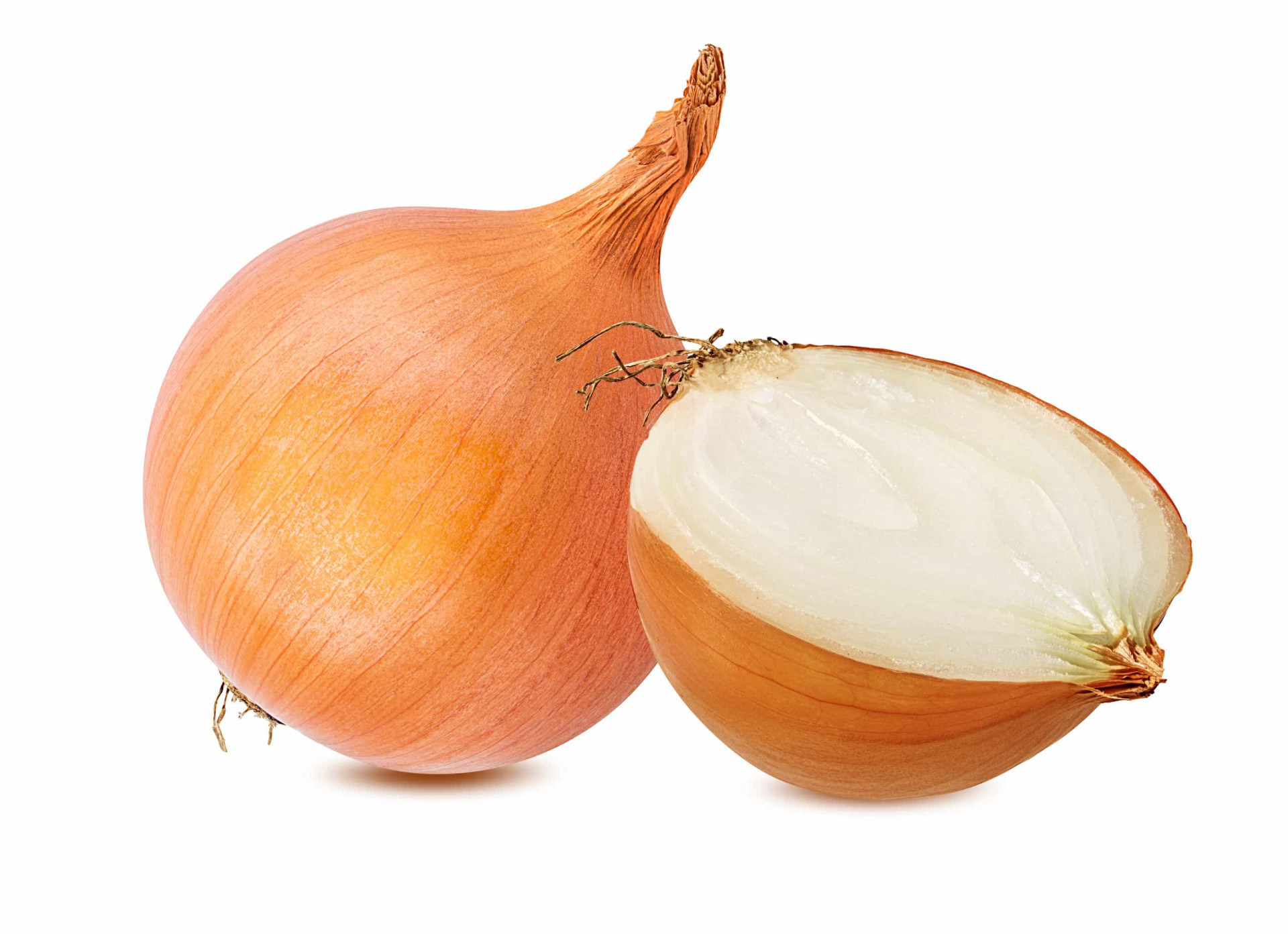 How to insect proof your home