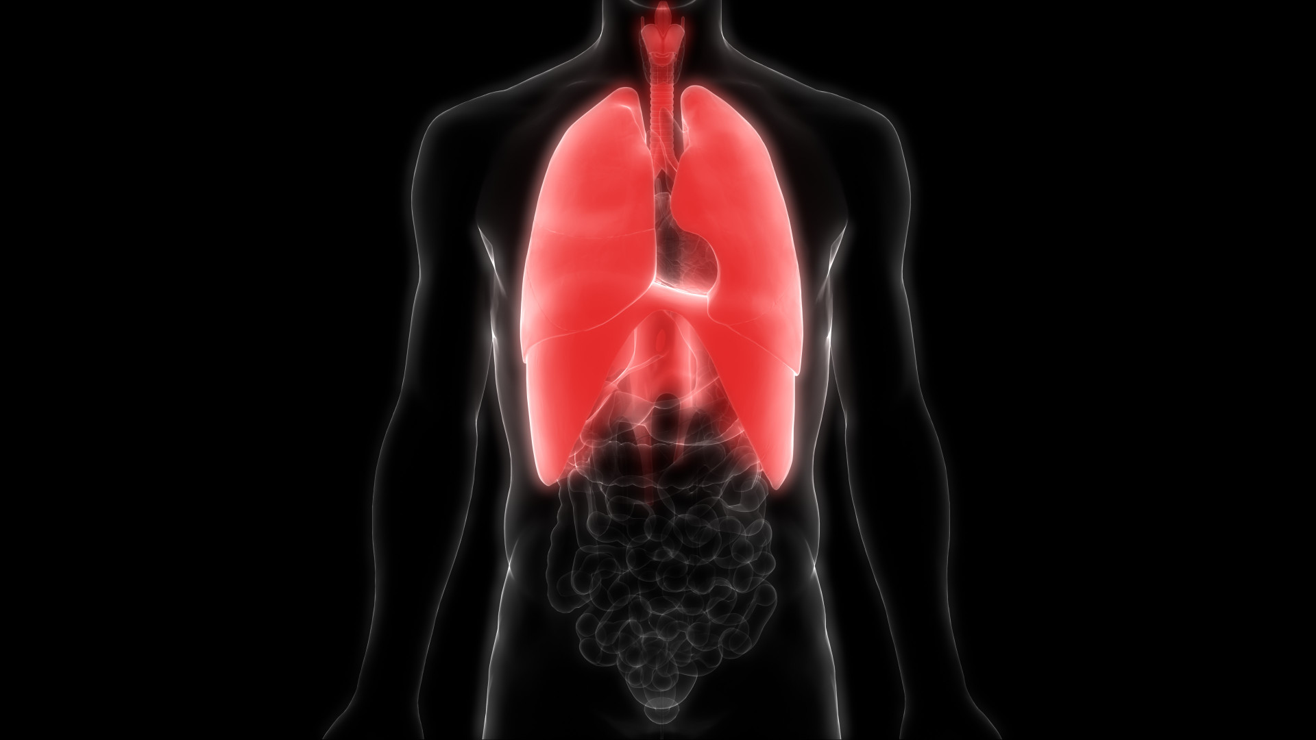 Kropsdele, som du faktisk kan leve uden