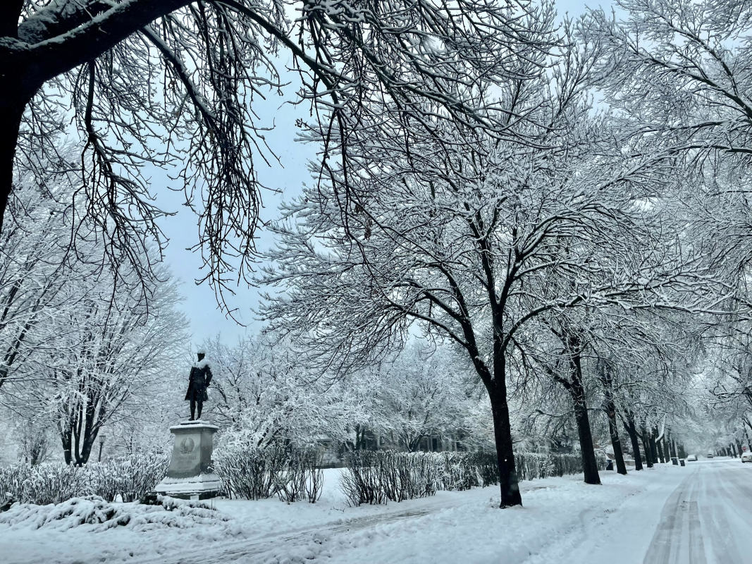 Final snow totals from the Tuesday-Wednesday winter storm