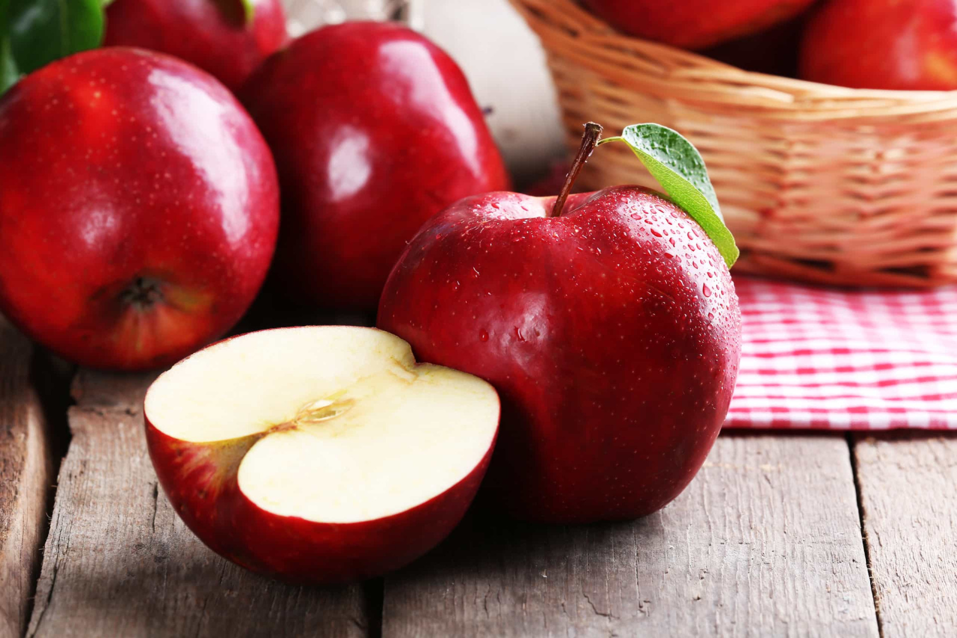 Foods that are poisonous to dogs