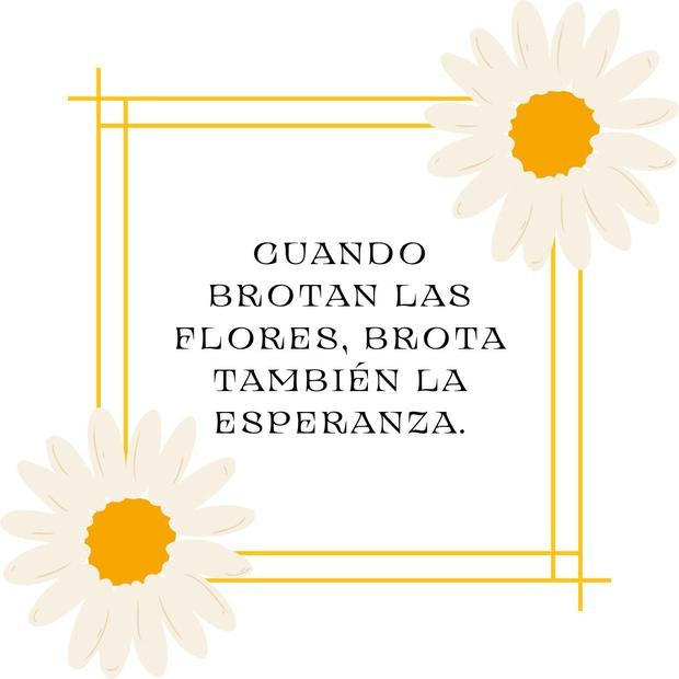 Frases para regalar Flores Amarillas: Dedicatorias e imágenes para ... Frases para regalar Flores Amarillas: Dedicatorias e imágenes para ...