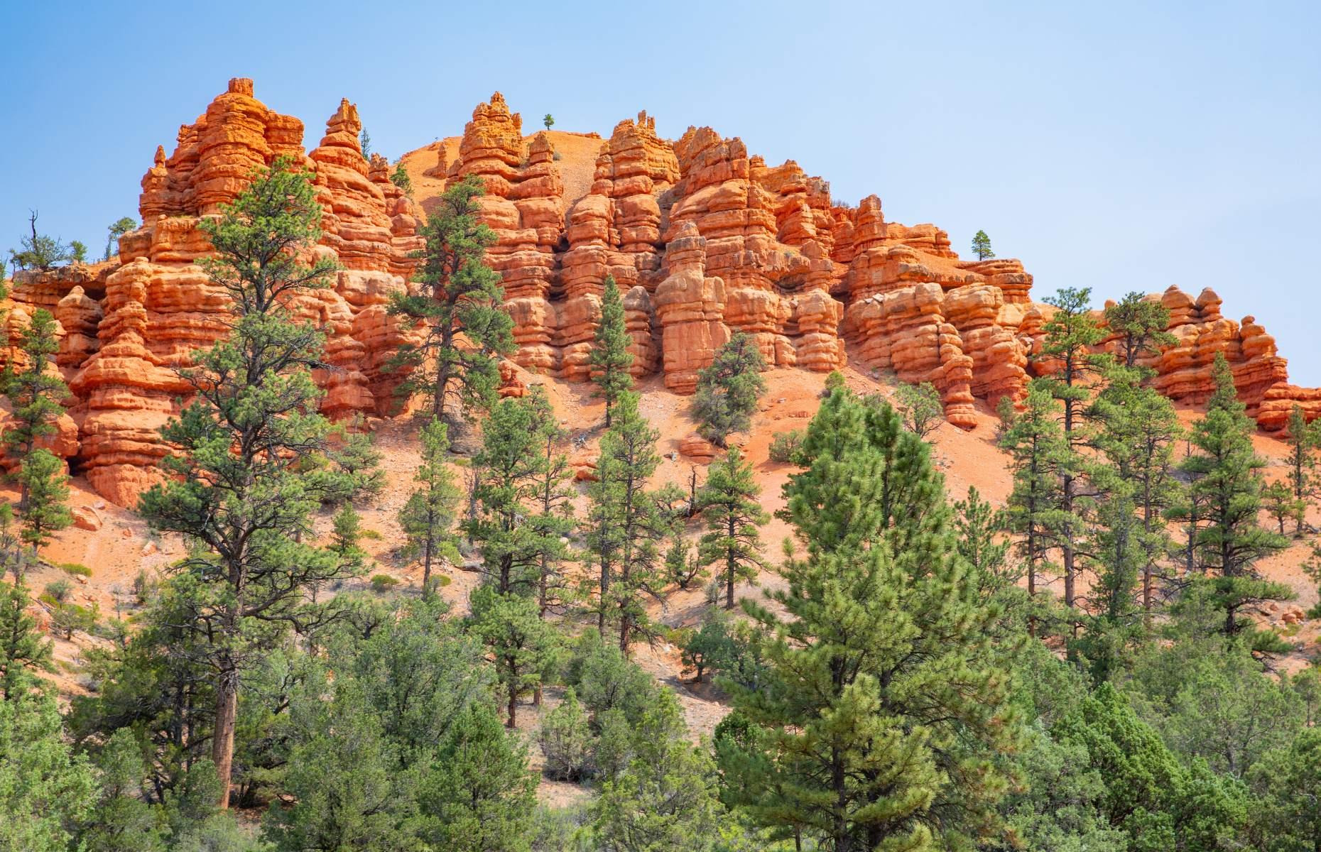The most beautiful national forests in the US you need to see