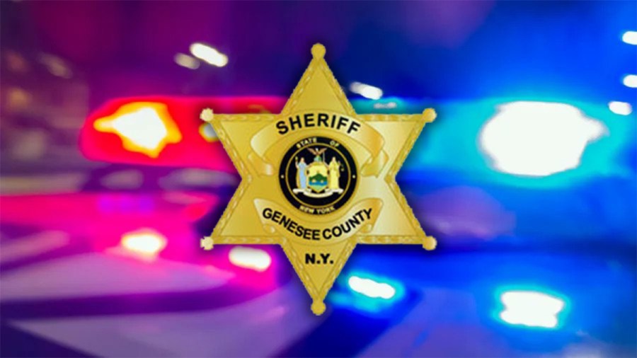 GCSO: Man accused of forcibly touching minor, ‘cruelly beating’ animal
