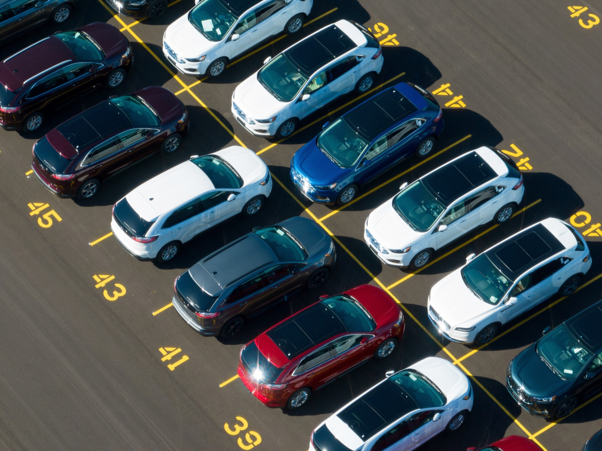 Surprising stories about the evolution of the car