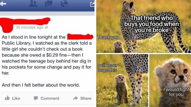 25 Wholesome Memes To Waste Some Time With