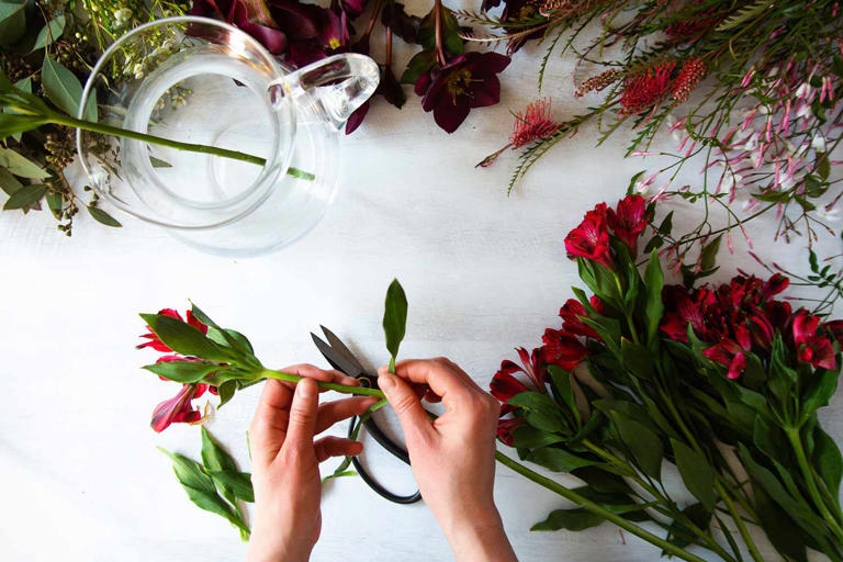 How Long Can Cut Flowers Last Without Being in Water? We Share the Answer