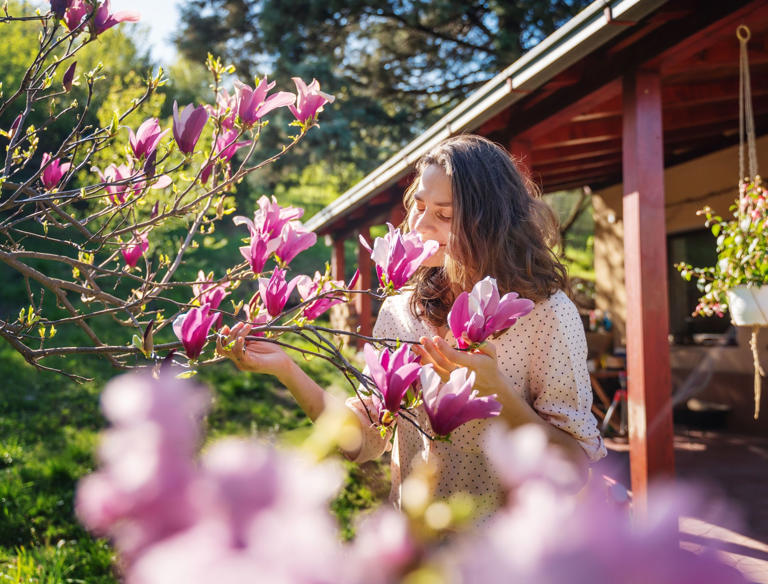Enhance Your Garden with These 6 Flowering Trees