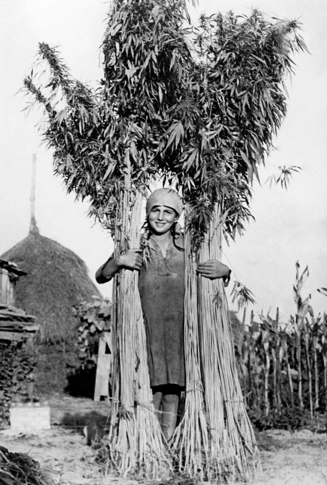 The positive impact of hemp on the planet