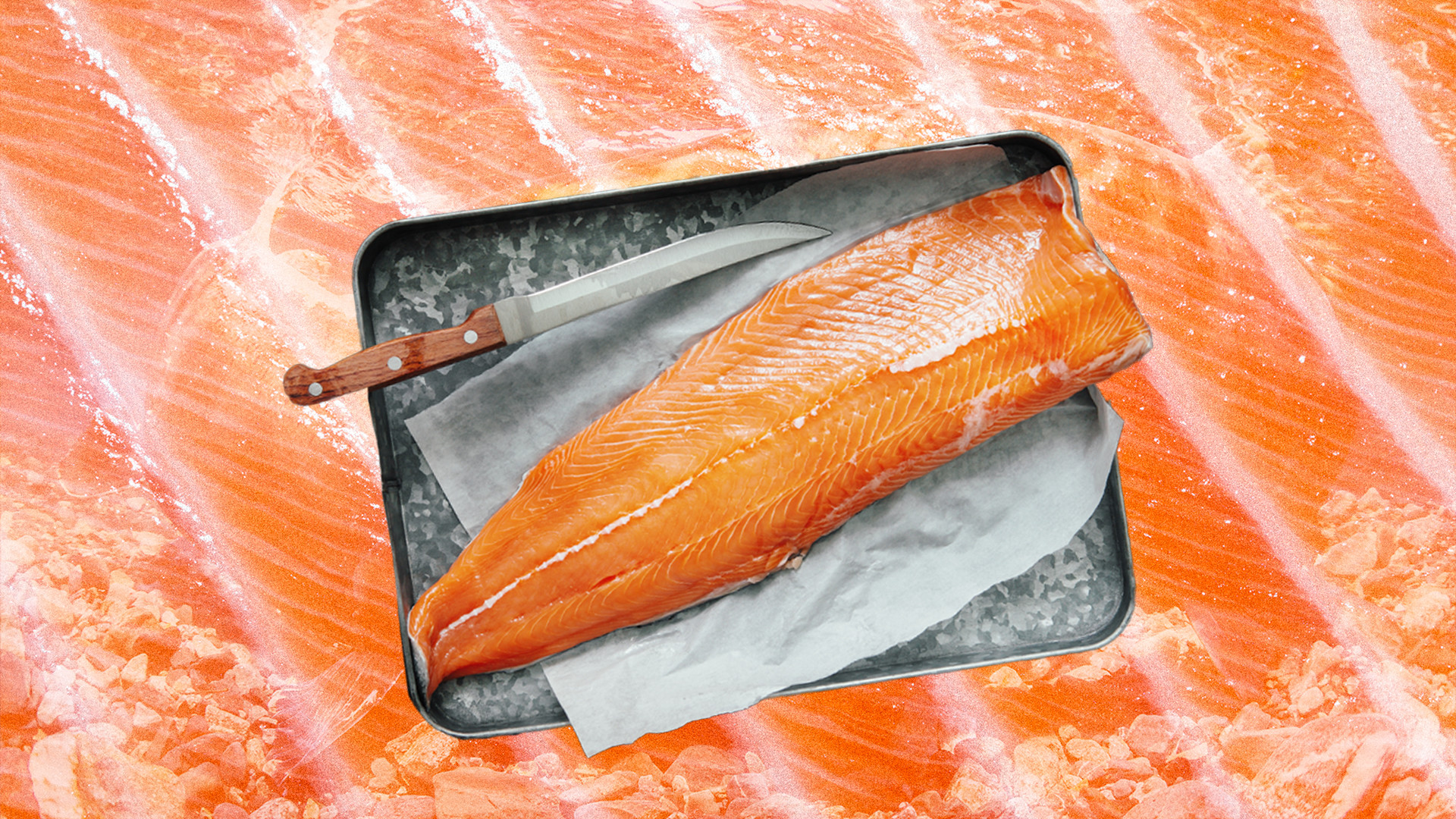 The Best Salmon Recipes, According to Eater Staff