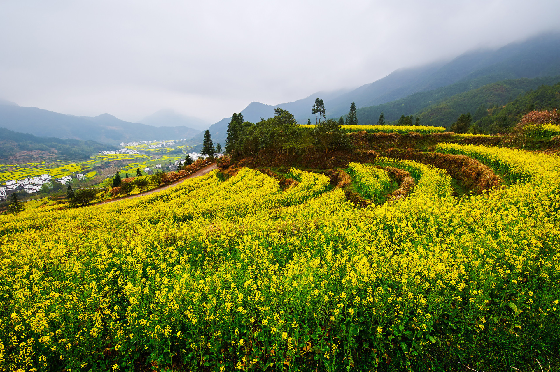 Discover the magnificent landscapes of China