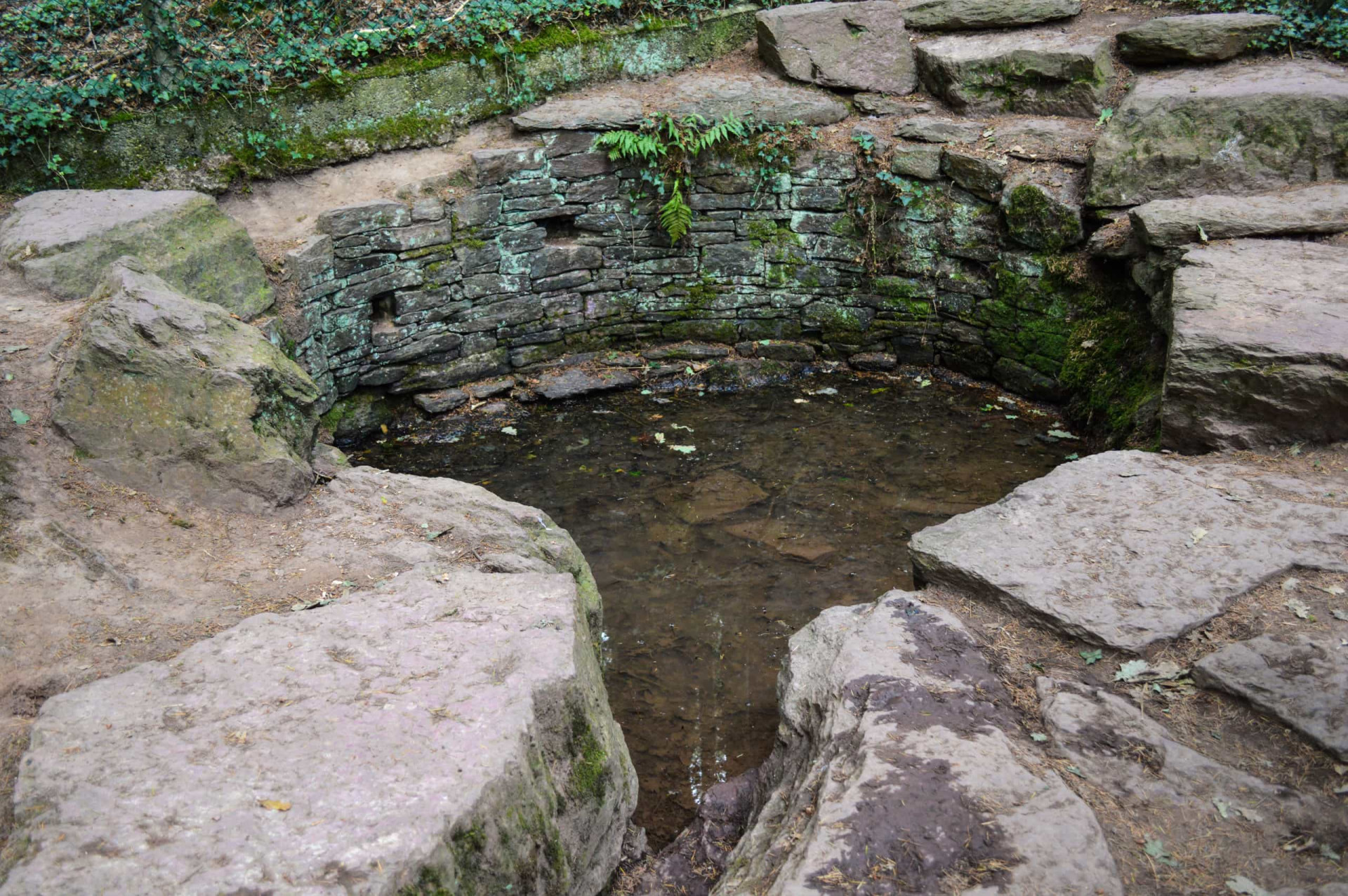 Eternal youth: The myth and mystery of the fountain of immortality