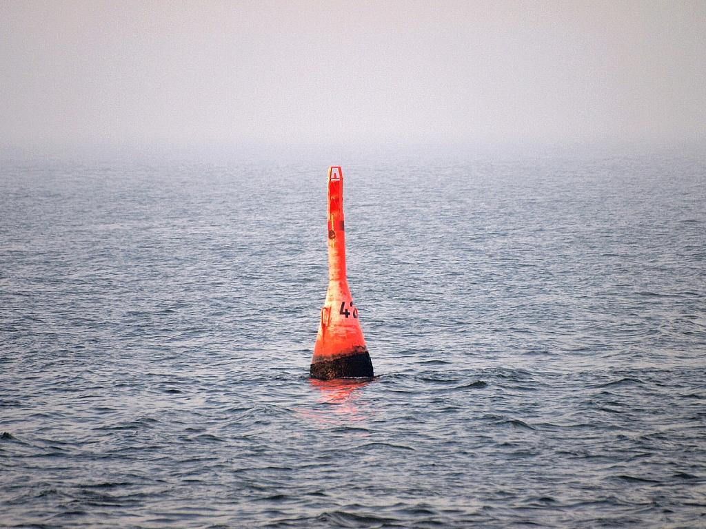 Bericht: Zweifel an Backhaus’ Aussagen zu totem Buckelwal