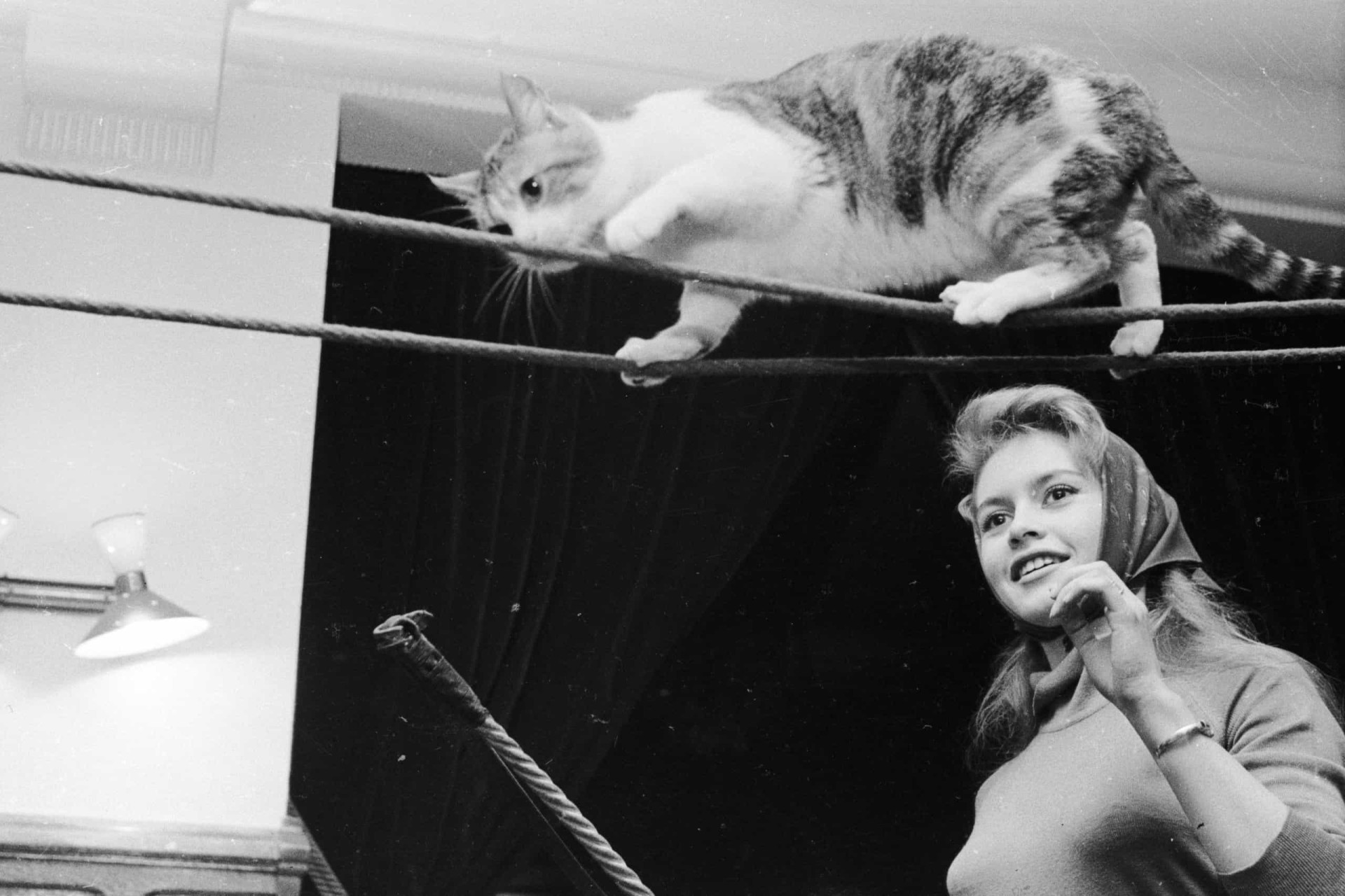 Photos vintage rares : les célébrités et leurs chats adorés
