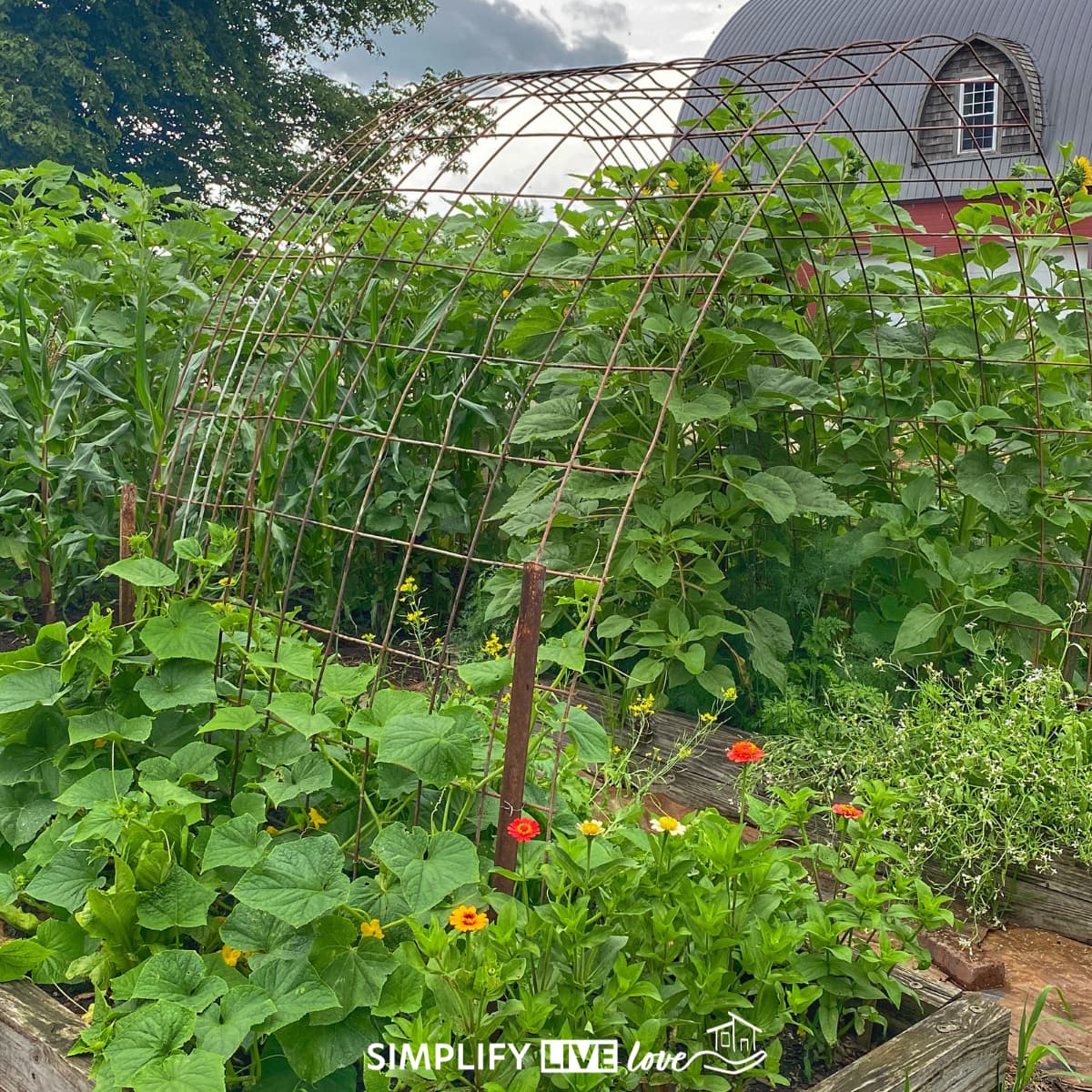 45 Must Know Easy Vegetable Gardening Tips for First-Time Gardeners