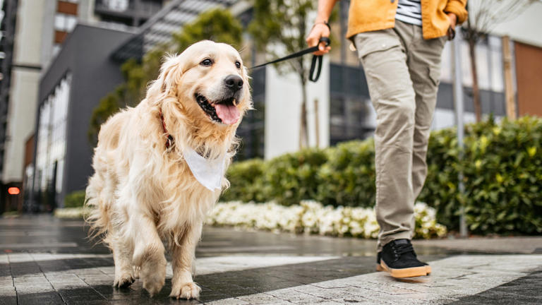 I asked ChatGPT for the easiest side hustles that make over $500 a week