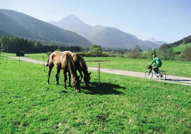 IIl bellissimo percorso in bici in Val Pusteria da San Candido a Lienz ...