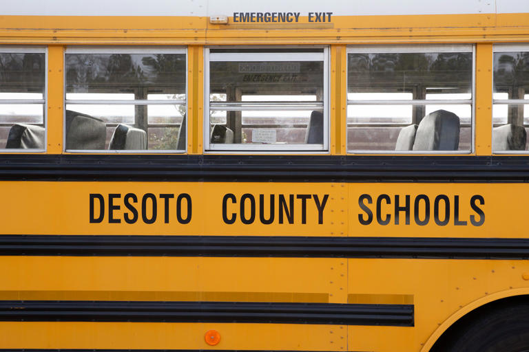 Meet the 7 new principals at DeSoto County Schools this year