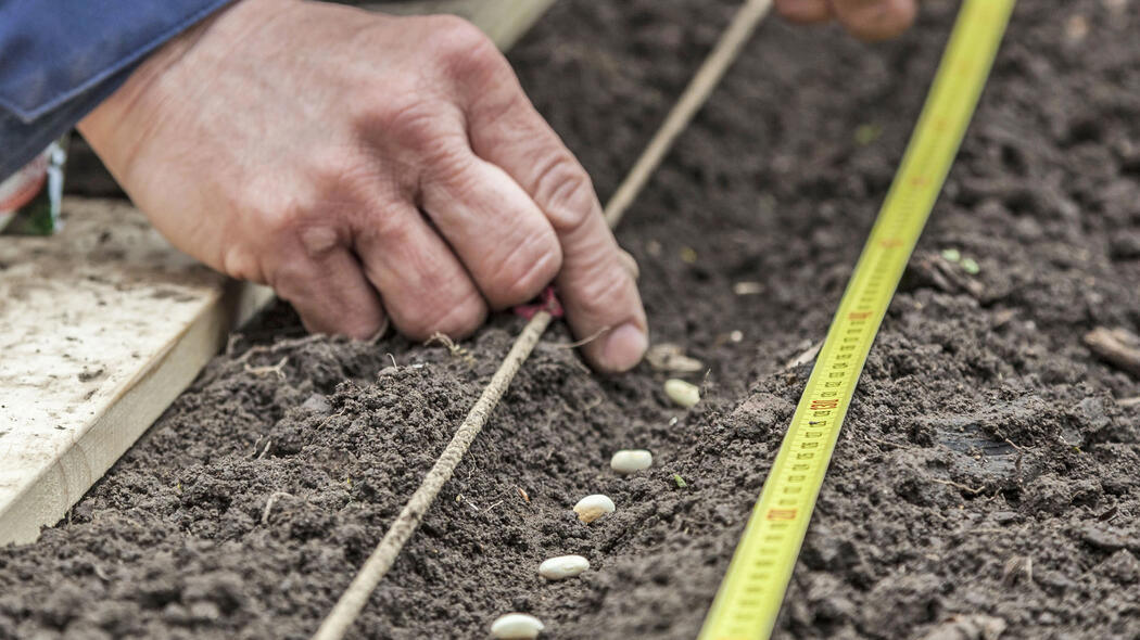 Die 3 wichtigsten Gartenarbeiten im April Die 3 wichtigsten Gartenarbeiten im April
