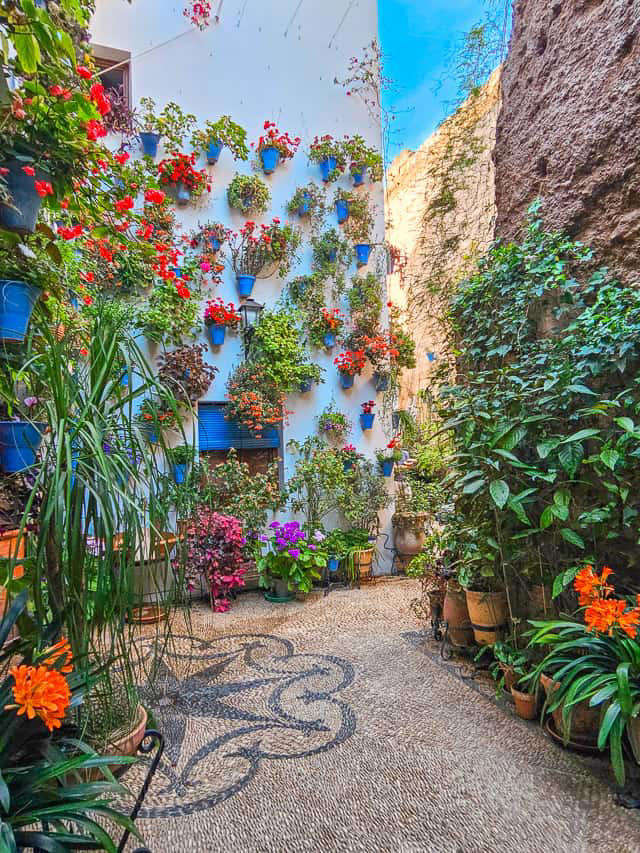 This Surprisingly Under the Radar Spanish City Is Covered in Flower ...