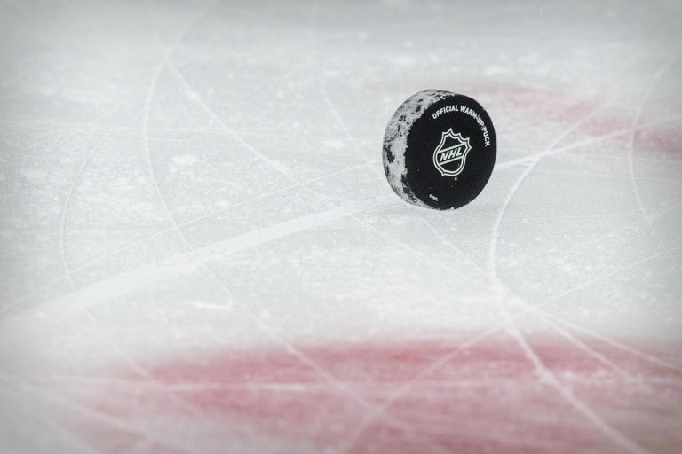 Changes in newly published NHL/NHLPA CBA include no double salary ...