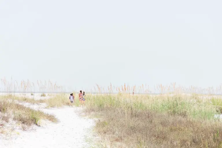 How to Visit Shell Island in Panama City Beach: Your Ultimate Guide