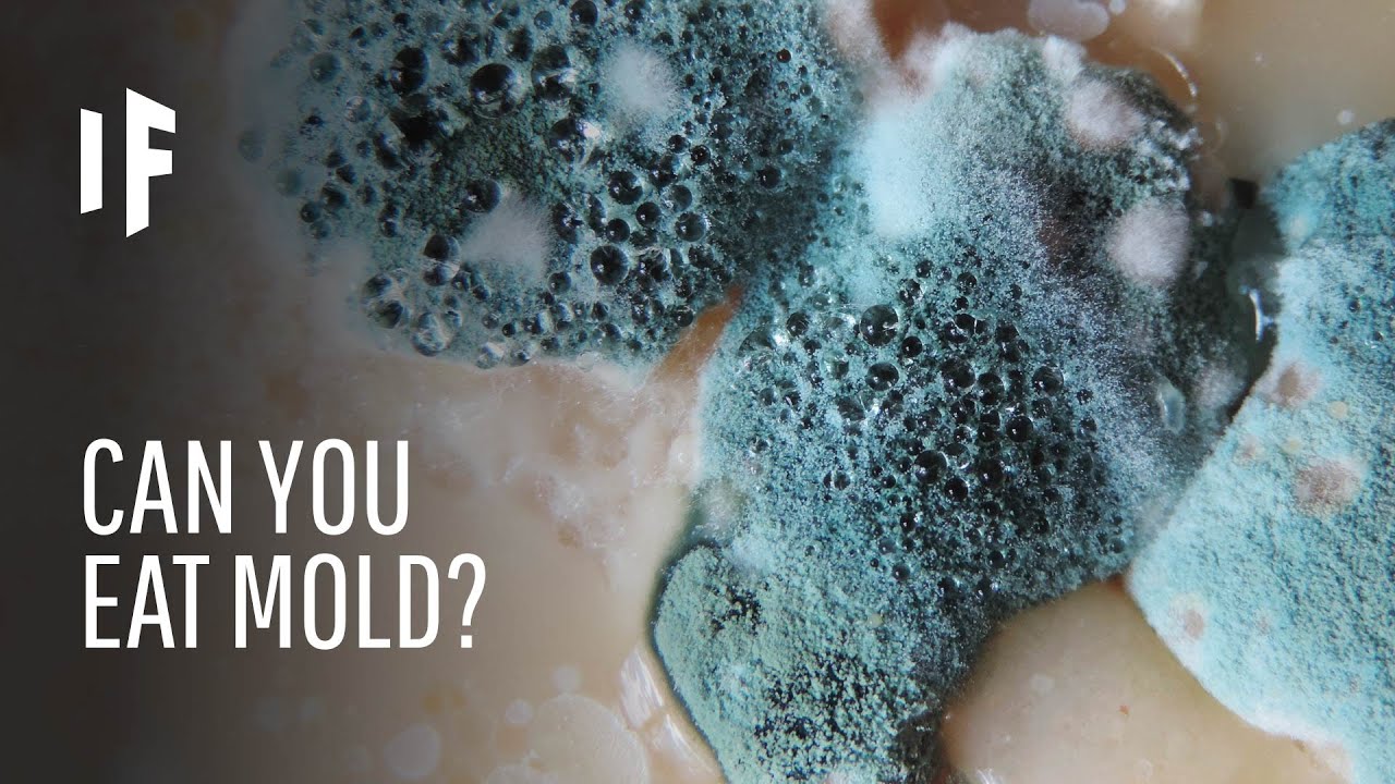 What happens to your body when you eat mold?
