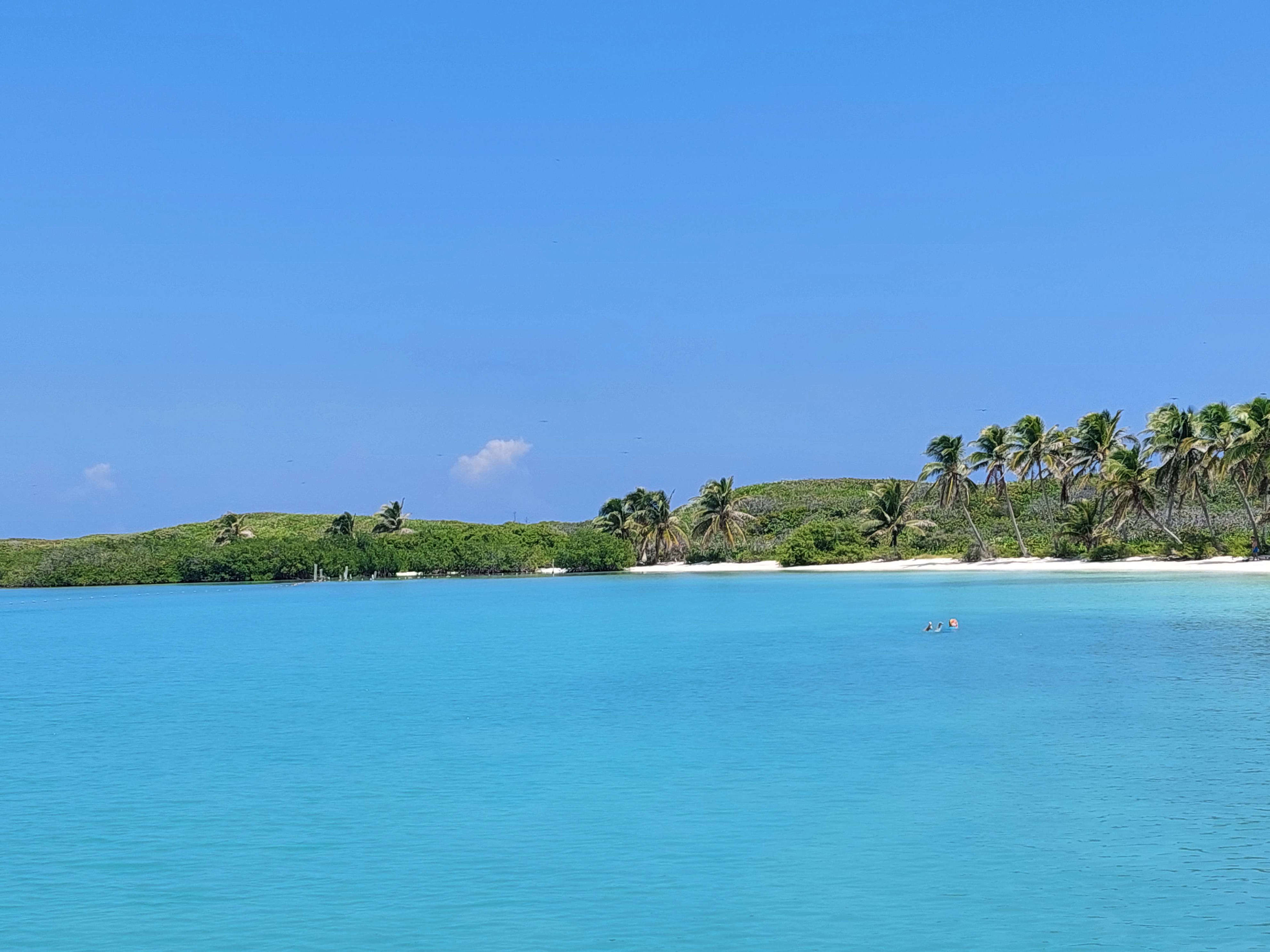 Isla Contoy Tour: Your Ultimate Day Trip Guide (2024)